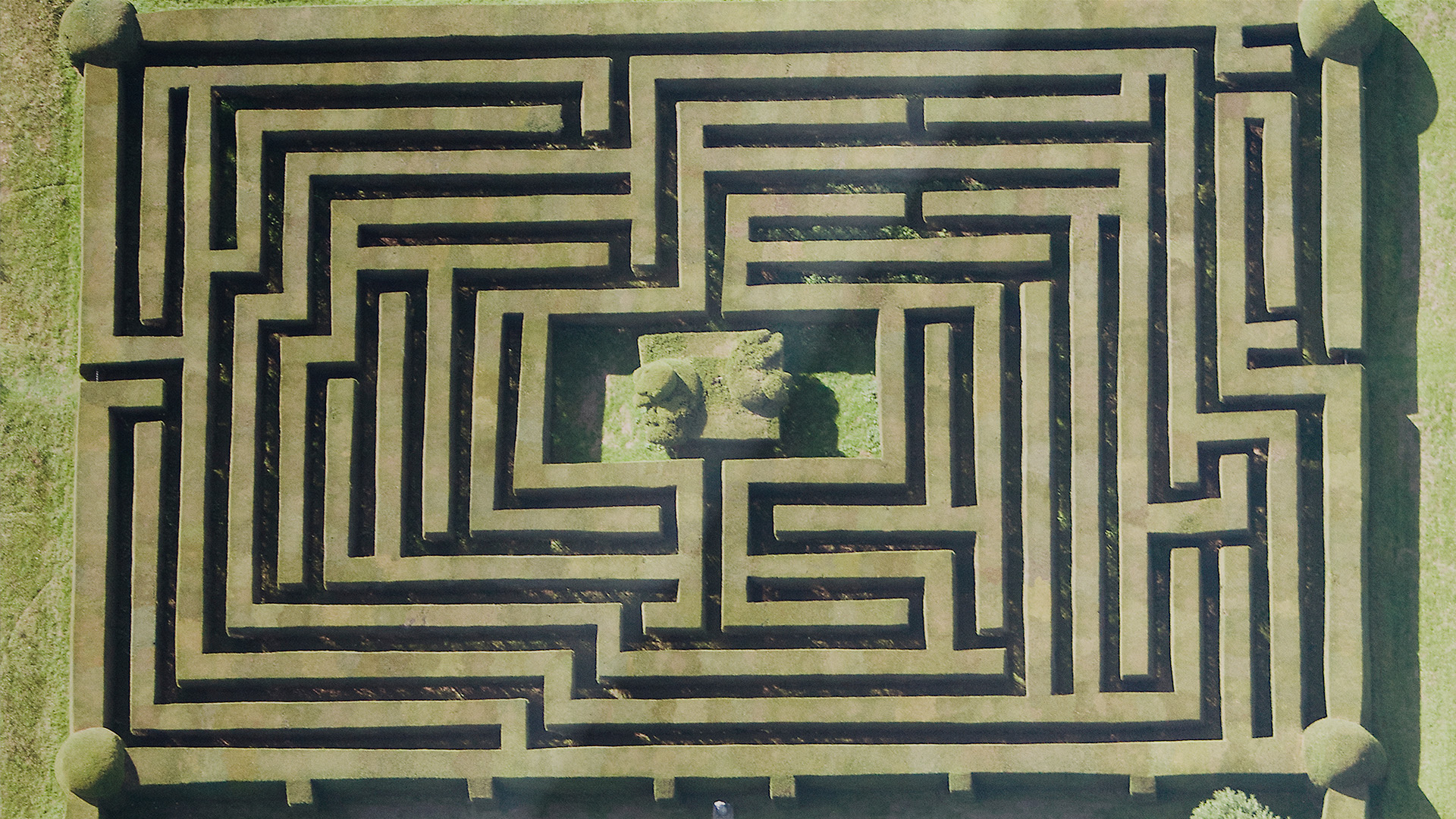 Navigating the Customer Experience Maze – Brandt Business Services ...